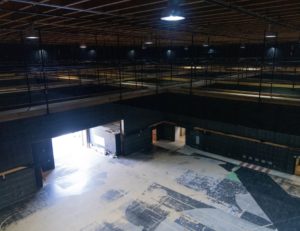 Saticoy - Raleigh Studios